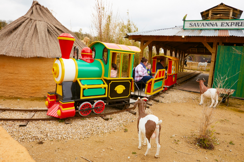 Rides & Attractions at Lightwater Valley Adventure Park Yorkshire