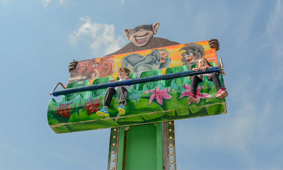 Rides & Attractions at Lightwater Valley Adventure Park Yorkshire